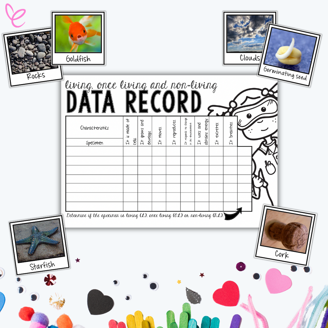 Living and Non-Living: Data Record – Mrs Edgar