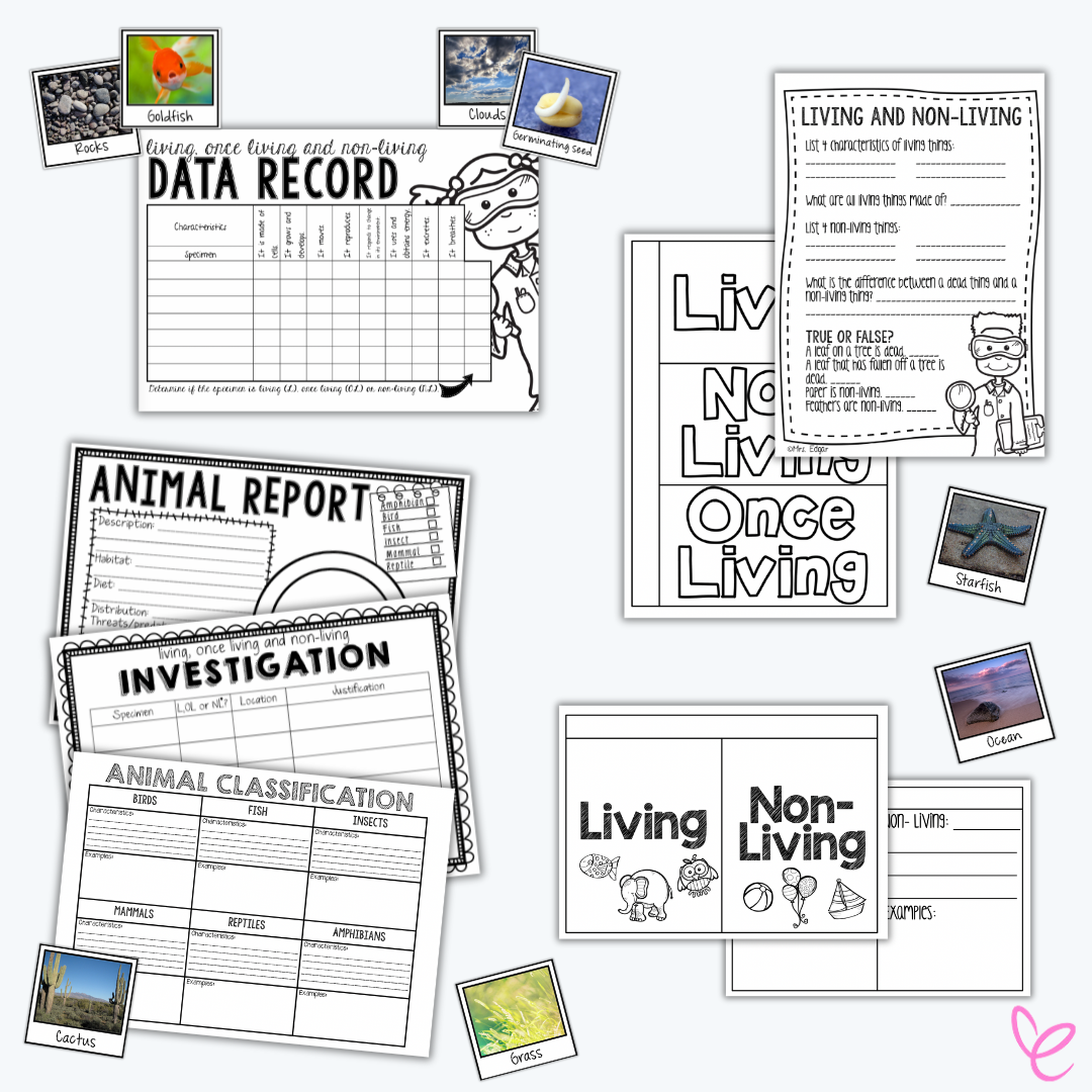 Living and Non-Living Mega Bundle – Mrs Edgar