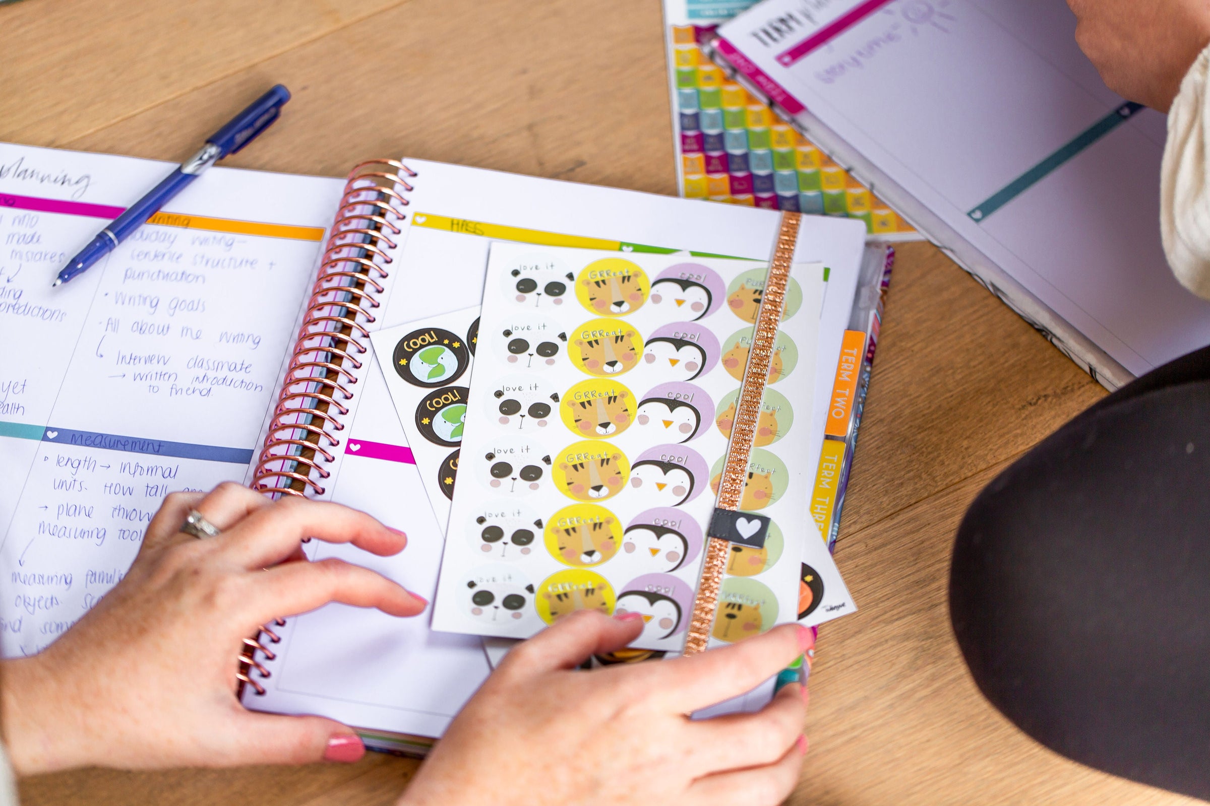 Sticker Books – Mrs Edgar